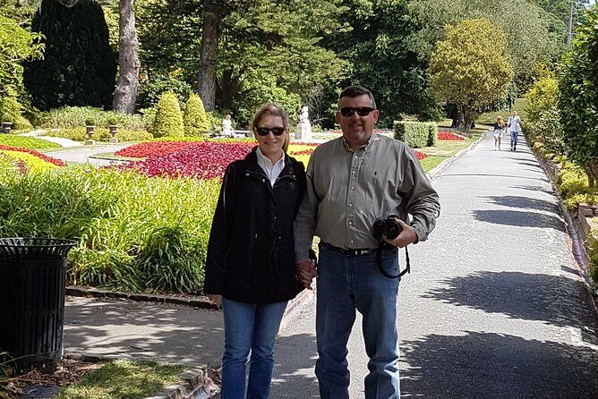 Private Wellington Full Day Sightseeing Tour - The Sum Up: Is This Tour Right for You?
