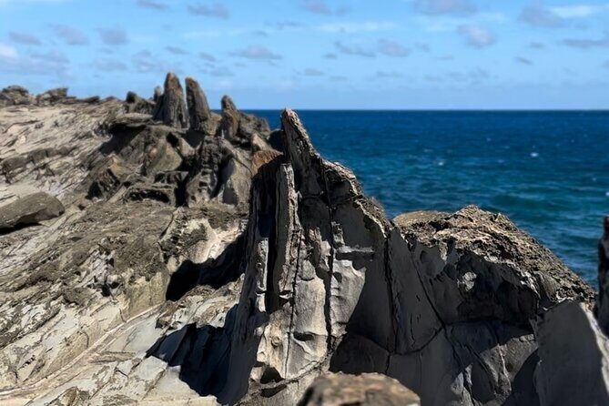 Private West Maui Coastline Open-Air Jeep Tour - The Experience: What Travelers Are Saying