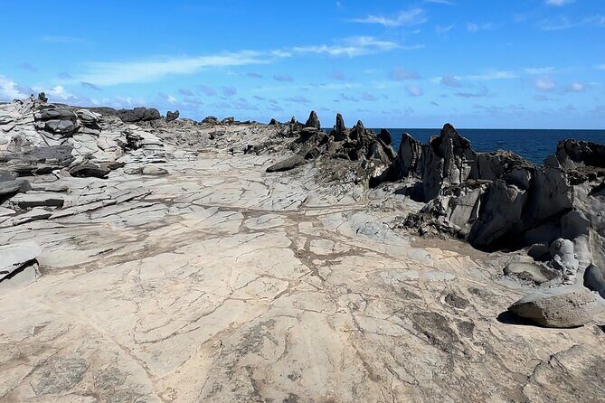 Private West Maui Coastline Open-Air Jeep Tour - The Value of This Tour