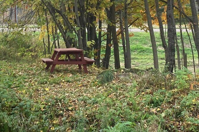 Private Westboro Equine Experience - The Setting: Wisconsin’s Natural Landscape