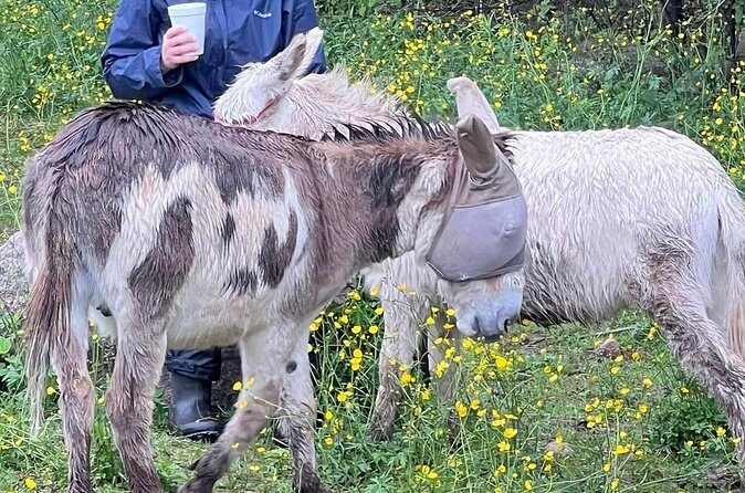 Private Westboro Equine Experience - Final Thoughts: Is It Worth It?