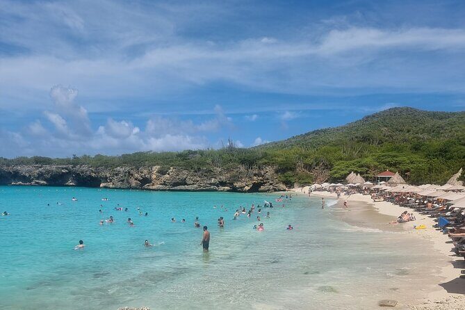 Private Westcoast Beachhop Tour. Turtle beach, grote knip & More - The Itinerary in Detail: What You Can Expect