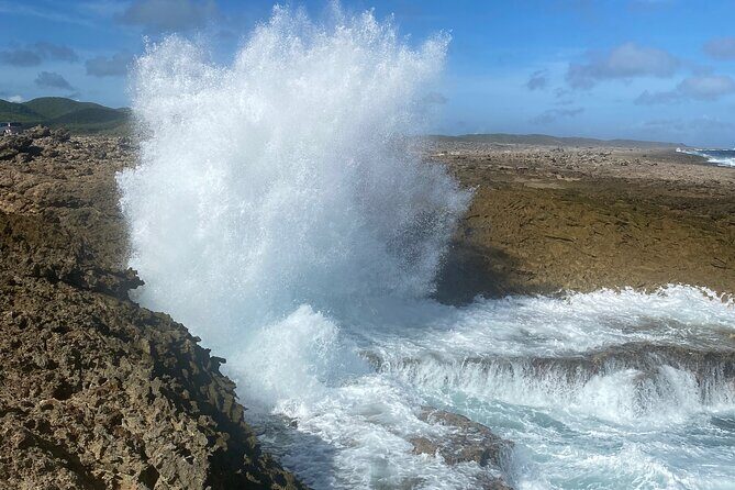 Private Westcoast Beachhop Tour. Turtle beach, grote knip & More - Final Recommendation