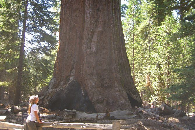 Private Western National Parks Tour from Las Vegas to San Francisco - The Practicalities and Value