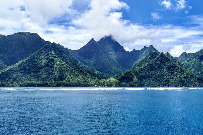 Private Whale Outing on the Tahiti Peninsula - Practical Tips for Your Whale Outing