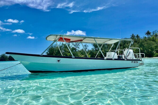 Private Whale Watching Adventure in Mo'orea - Who Will Love This Tour?