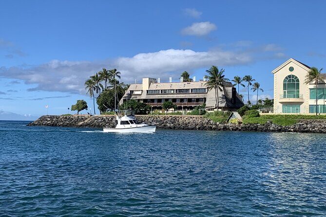 Private Whale Watching and Dolphin Excursion - Final Thoughts: Is This Tour for You?