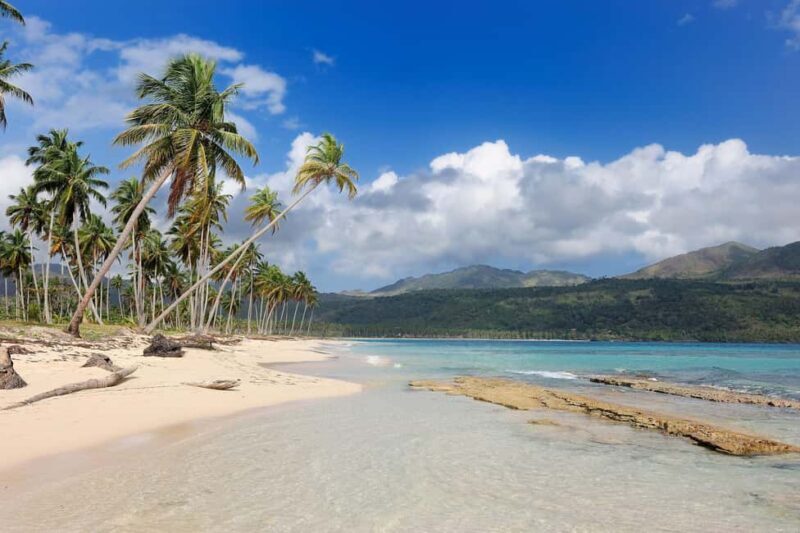 Private: Whale-Watching & Beach Escape from Punta Cana - Itinerary Breakdown: What Makes Each Stop Special