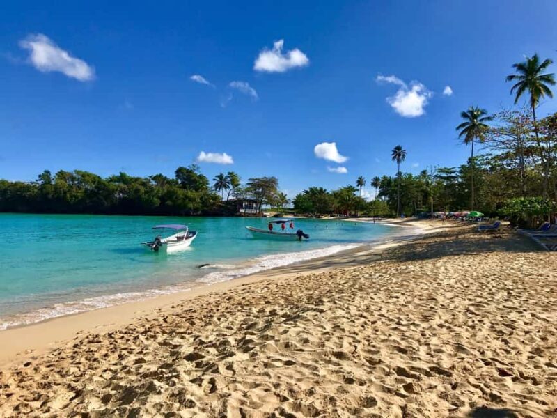 Private: Whale-Watching & Beach Escape from Punta Cana - How Does It Compare to Similar Experiences?