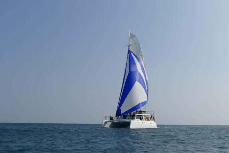 Private Whale Watching Cruise - Mirissa - A Closer Look at the Experience