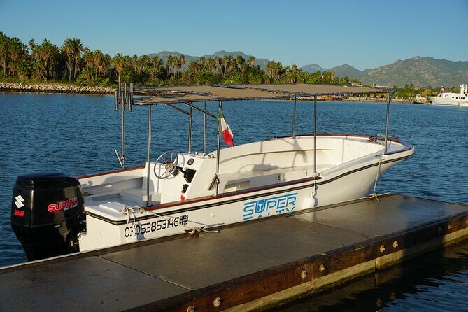 Private Whale Watching in San José del Cabo - What the Tour Offers