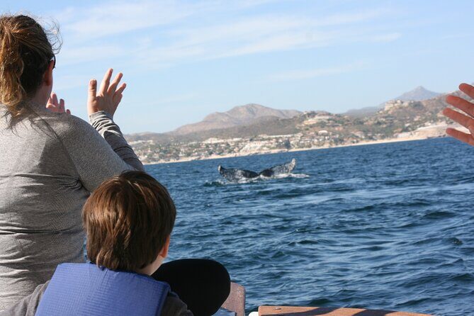 Private Whale Watching in San José del Cabo - Why This Tour Stands Out