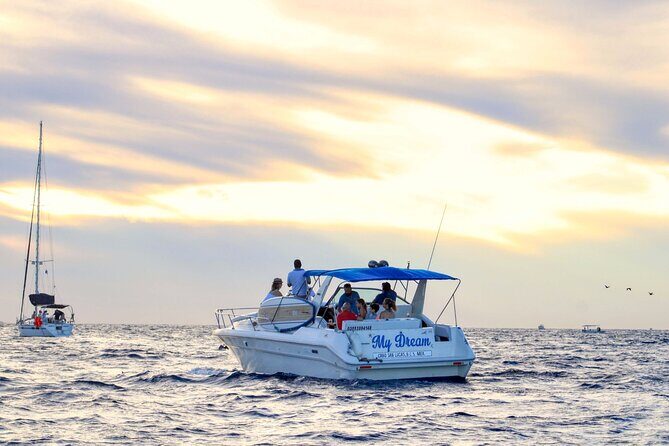 Private Whale Watching on Luxury Yacht in Cabo San Lucas - The Sum Up