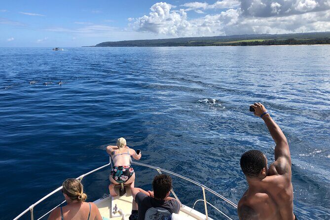 Private Whale Watching Safari from North Shore Oahu - Value and Price Analysis
