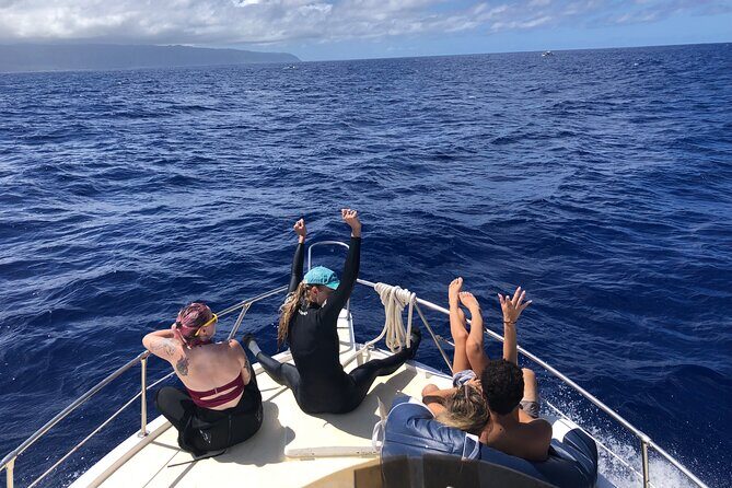 Private Whale Watching Safari from North Shore Oahu - Who Should Book This Tour?