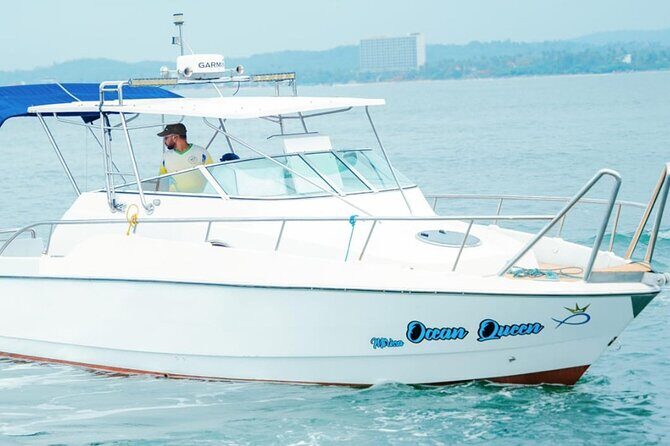 Private Whale Watching Tour by Luxury Speedboat from Mirissa - Key Points