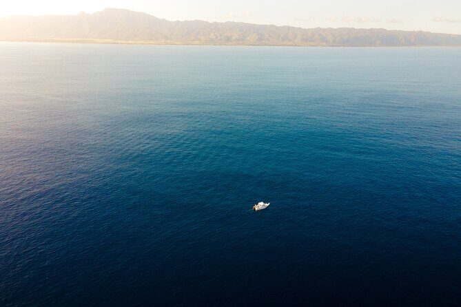 Private Whale Watching Tour of Oahu - Who Should Consider This Tour?