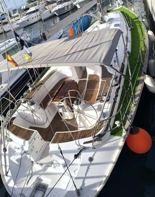 Private Whales & Dolphins Excursion: for you exclusively! - An Authentic Look at the Tour: What You Get and Why It Matters