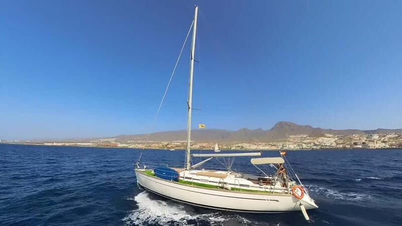 Private Whales & Dolphins Excursion: for you exclusively! - Final Thoughts