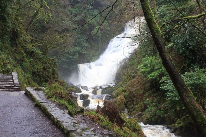 Private Wild Atlantic Day Tour from Cork - FAQs