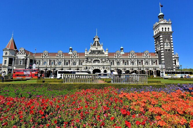 Private Wildlife and Penguin Tour in Dunedin with Ticket - What Makes This Tour Special?