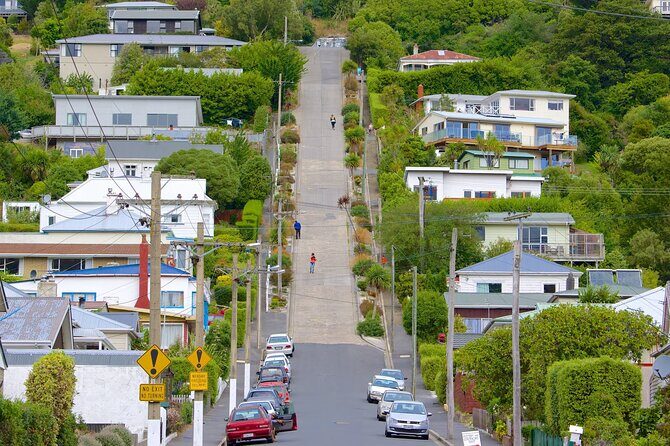 Private Wildlife and Penguin Tour in Dunedin with Ticket - Final Thoughts