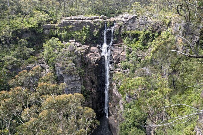 Private Wildlife Tour Wombats Kangaroos and Waterfalls - Price and Value Analysis