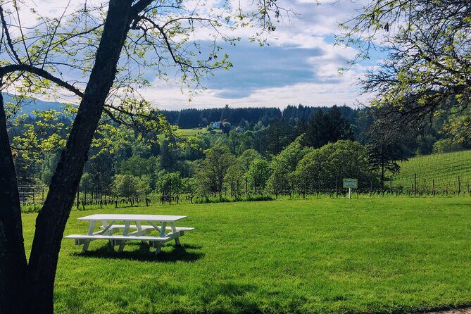 Private Willamette Valley Character Winery Tour - The Itinerary: What to Expect