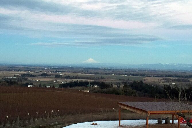 Private Willamette Valley Character Winery Tour - The Sum Up