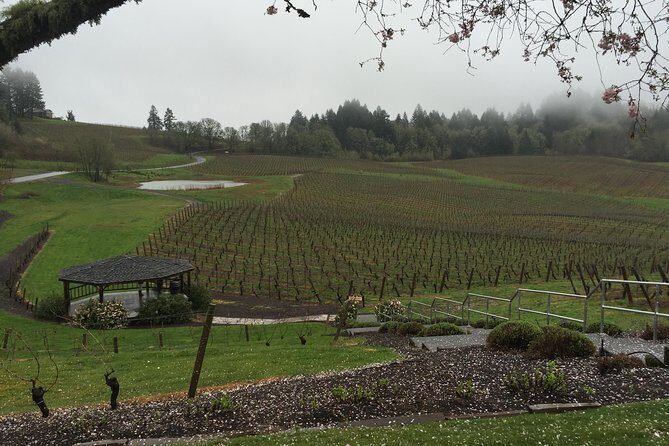 Private - Willamette Valley Wine Tour From Portland (tasting fees included) - Key Points