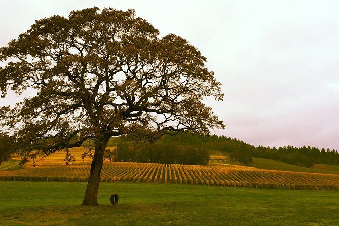 Private - Willamette Valley Wine Tour From Portland (tasting fees included) - The Transport: Comfort and Style