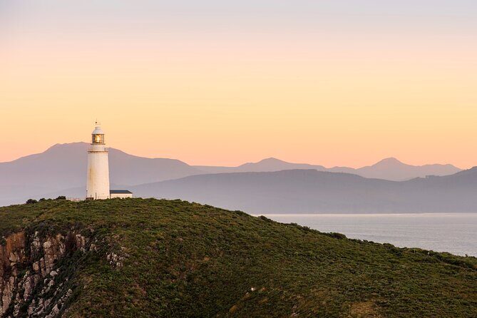 Private Wine and Beverage Tours in Tasmania - The Value and Pricing