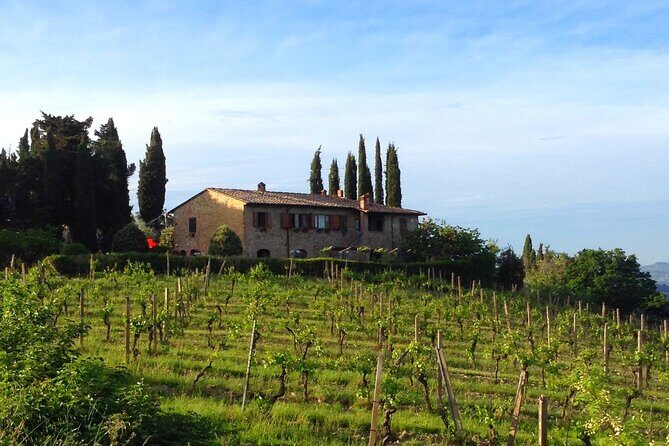 Private Wine and Extra Virgin Olive Oil Tasting - Why This Tour is a Great Choice