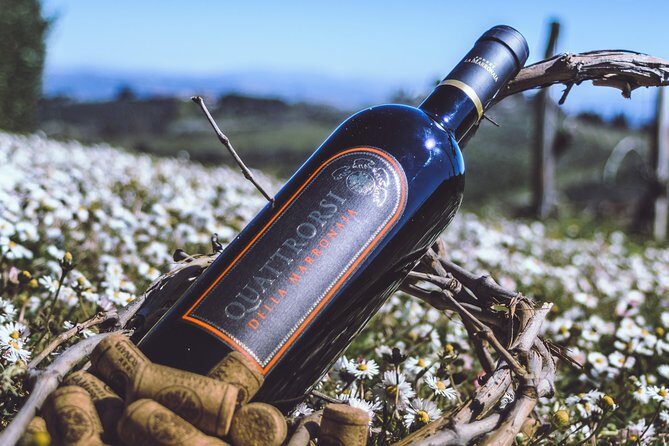 Private Wine and Extra Virgin Olive Oil Tasting - FAQ