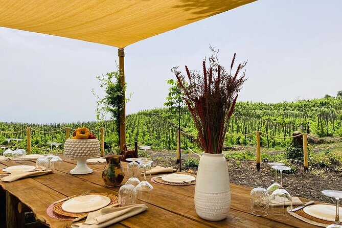 Private Wine and Food Tasting Immersed in Nature in Milo - The Sum Up