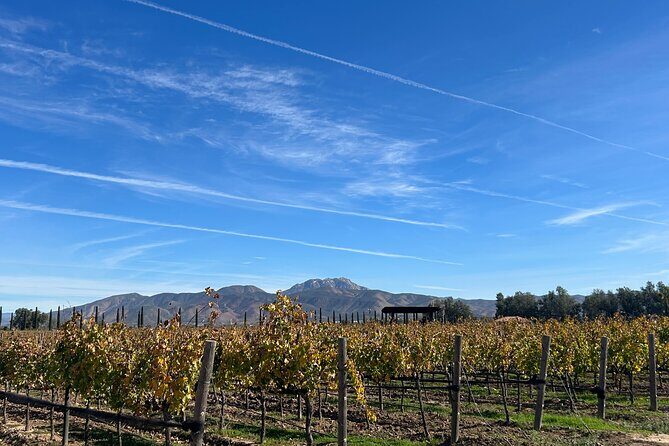 Private Wine and Food Tour in Valle de Guadalupe - Why This Tour Works Well for Travelers