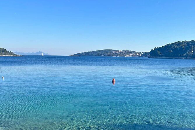 Private Wine and Gin Tour Around the Island of Korcula - Who Is This Tour Best For?
