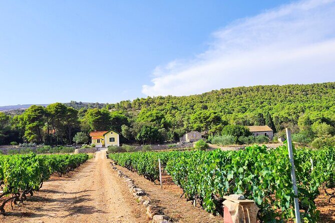 Private Wine and Gin Tour Around the Island of Korcula - The Sum Up