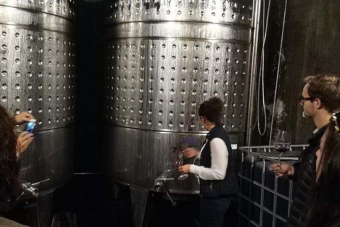 Private Wine & Cava Tasting Tour In Penedes with hotel pick up - Key Points