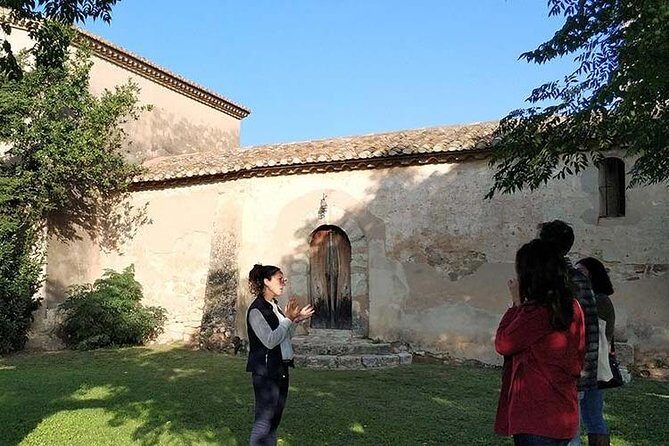 Private Wine & Cava Tasting Tour In Penedes with hotel pick up - What Could Be Better