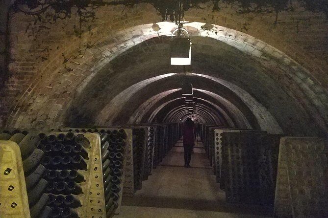 Private Wine & Cava Tasting Tour In Penedes with hotel pick up - Who Should Book This Tour?