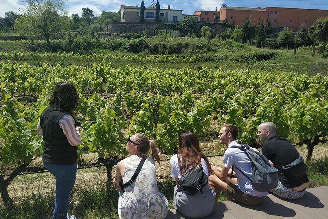 Private Wine & Cava Tasting Tour In Penedes with hotel pick up - FAQ About the Penedès Wine & Cava Tour