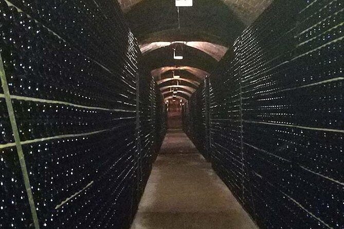 Private Wine & Cava Tasting Tour In Penedes with hotel pick up - Final Thoughts