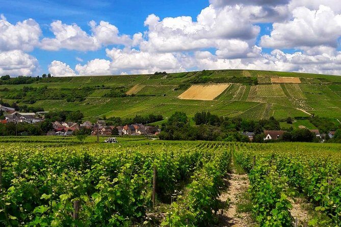 Private wine & cheese tour to Sancerre vineyards from Paris - Practical Details