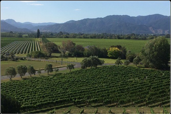 Private Wine Gourmet and Scenic Delights Tour from Picton - Key Points