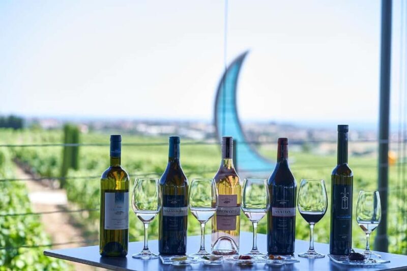 Private Wine & Museum Tour at Gerovassiliou Winery - Key Points