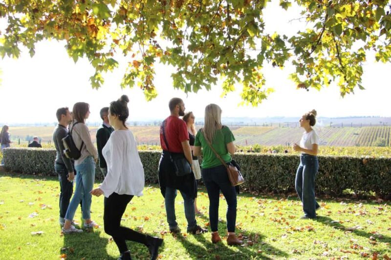 Private Wine & Museum Tour at Gerovassiliou Winery - The wine tasting experience: a curated, exclusive event