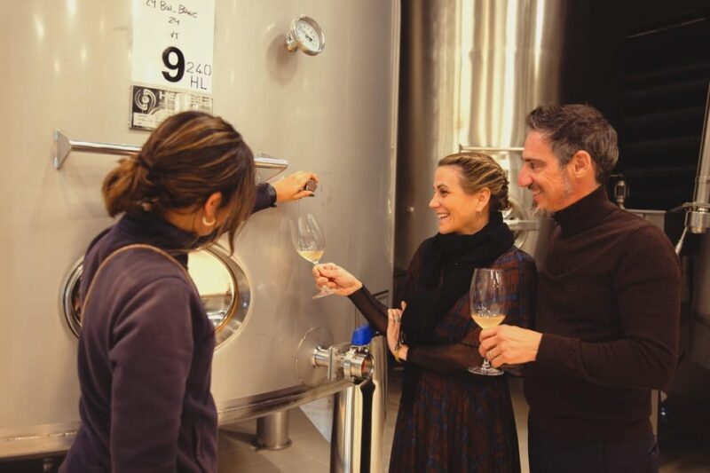 Private Wine, Tapas & Cava Experience from Barcelona - Introduction