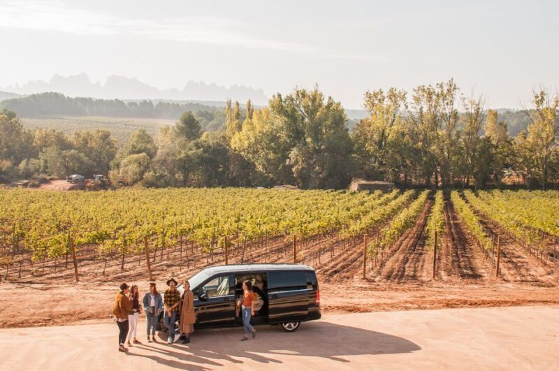 Private Wine, Tapas & Cava Experience from Barcelona - Why This Tour Works Well