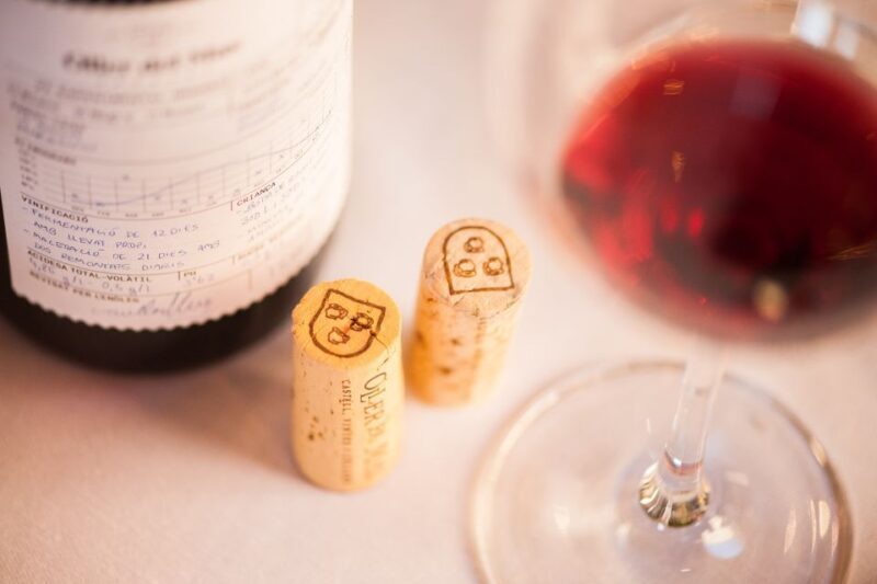 Private Wine, Tapas & Cava Experience from Barcelona - The Authenticity and Learning Experience